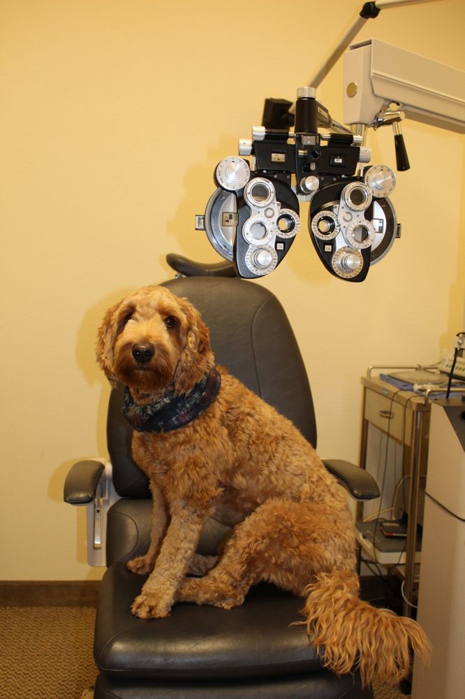 ROBERT C. FOX MD, INC. / FAMILY MEDICAL EYE CENTER - Updated April 2025 ...