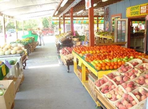 FRUITVILLE GROVE - 49 Photos & 20 Reviews - 7410 Fruitville Rd ...