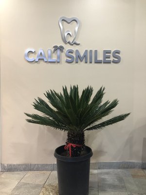 CALI SMILES FAMILY DENTISTRY - Updated January 2026 - 20 Photos & 68 ...