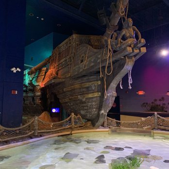 Mall of America - 2795 Photos & 1187 Reviews - Shopping Centers - 60 ...