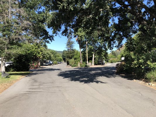 UVAS PINES RV PARK - 22 Photos & 19 Reviews - 13210 Uvas Rd, Morgan ...