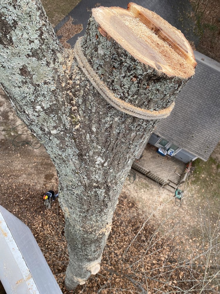 SOUTHERN TREE - Updated June 2025 - Request a Quote - Sanford, North ...