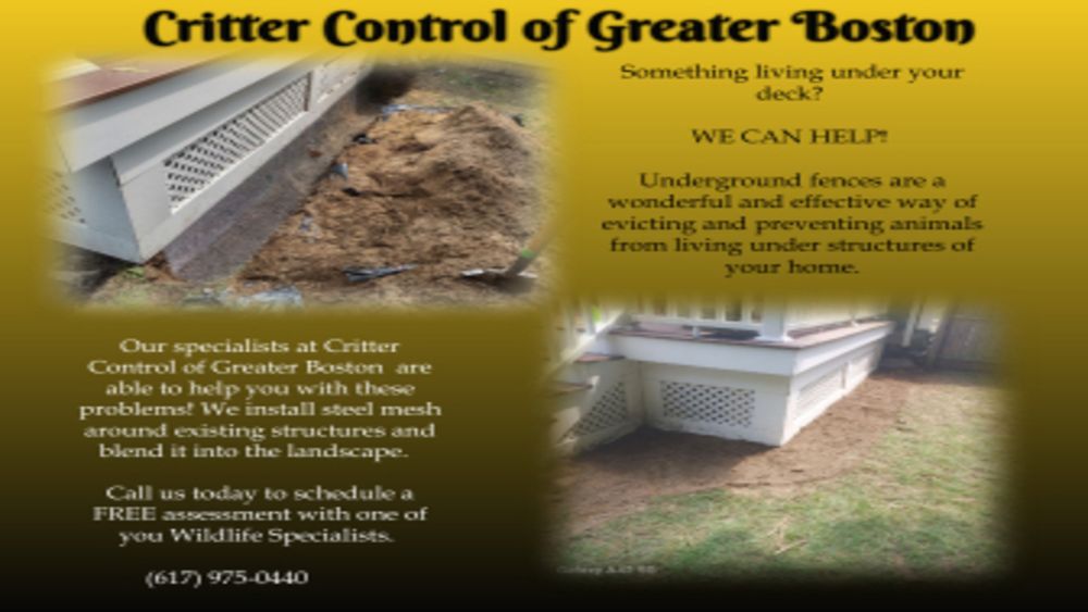 CRITTER CONTROL OF GREATER BOSTON NORTH - Updated April 2025 - 26 ...
