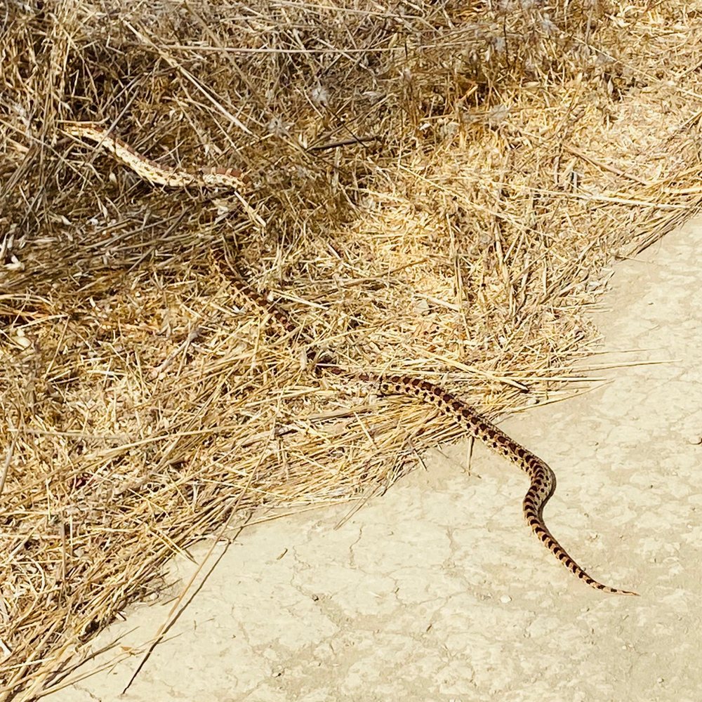 HALLMARK PARK - Updated August 2025 - 10 Photos - 2599 Hallmark Dr ...