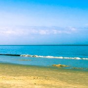 FOLLY FIELD BEACH PARK - 82 Photos & 23 Reviews - 55 Starfish Dr ...