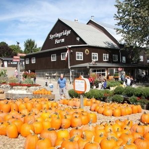 APPLEVALE ORCHARDS - Updated December 2025 - 5144 Derry Road ...