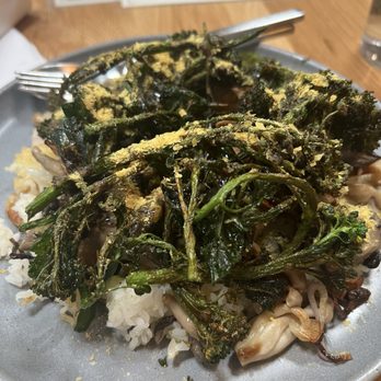 FERN BAR - Updated August 2024 - 709 Photos & 382 Reviews - 6780 Depot ...