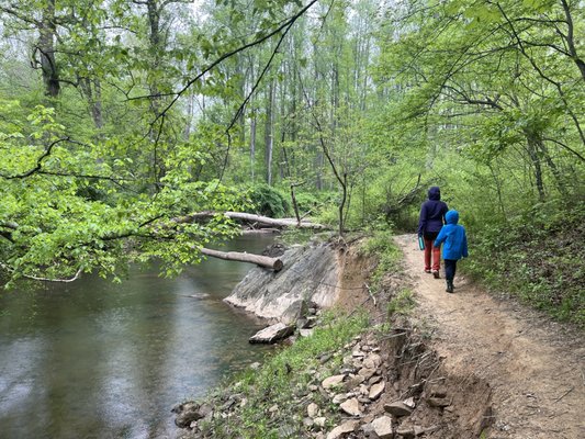 DIFFICULT RUN STREAM VALLEY PARK - Updated July 2025 - 22 Photos - 8801 ...