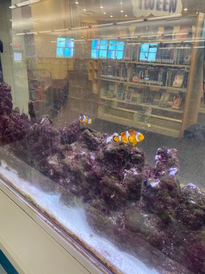 HANCOCK COUNTY PUBLIC LIBRARY - Updated October 2025 - 53 Photos & 15 ...