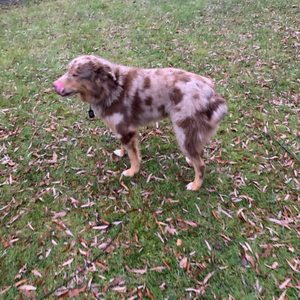 RIVERVIEW ESTATE BY BROPHY - Updated April 2025 - 72 Photos - 1650 ...