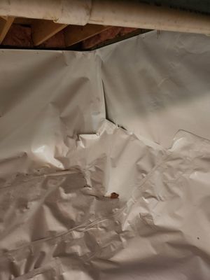 ACCULEVEL - Updated January 2026 - 34 Photos & 45 Reviews - Rossville ...