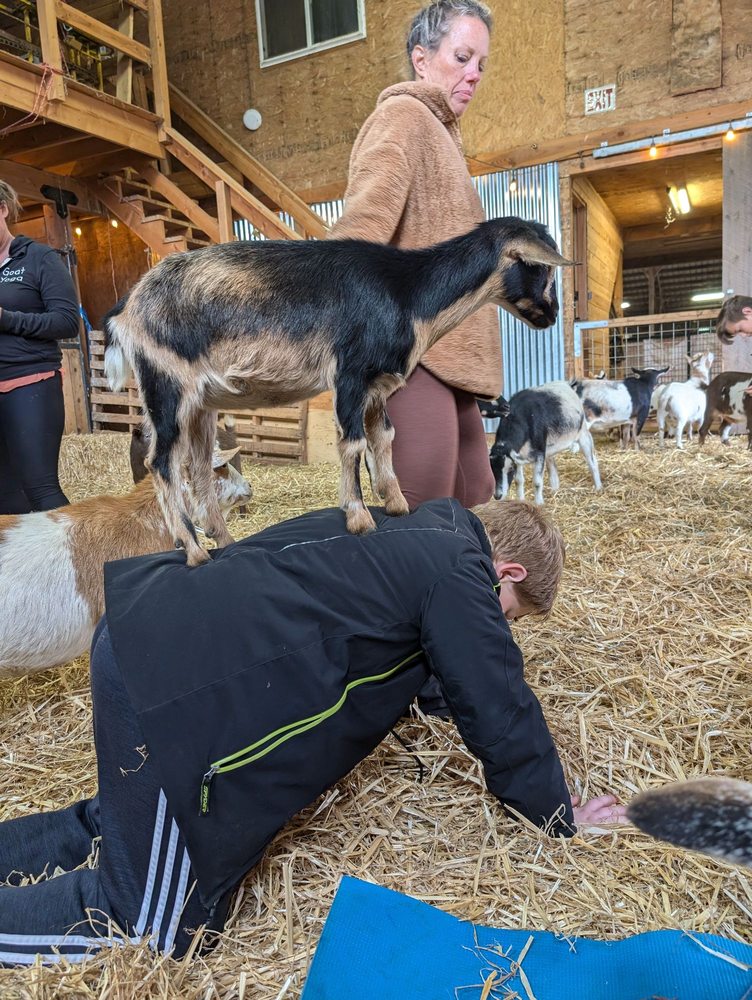 ORIGINAL GOAT YOGA- OREGON - Updated May 2026 - 19 Photos - 17531 S ...
