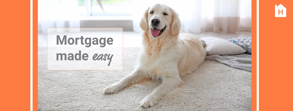 CLARE LIN MORTGAGE LOAN OFFICER - HOMESIDE FINANCIAL - Updated February ...