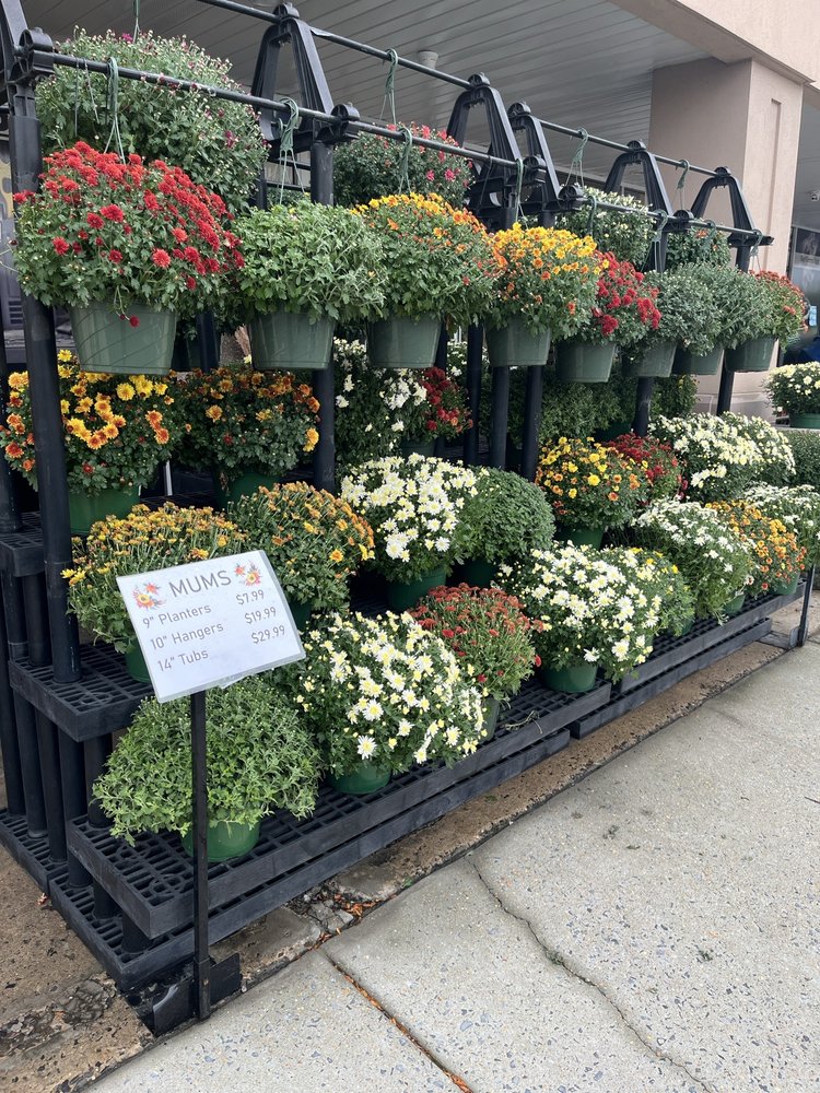 ACE HARDWARE - Updated August 2025 - 15 Reviews - 482 Pottstown Ave ...