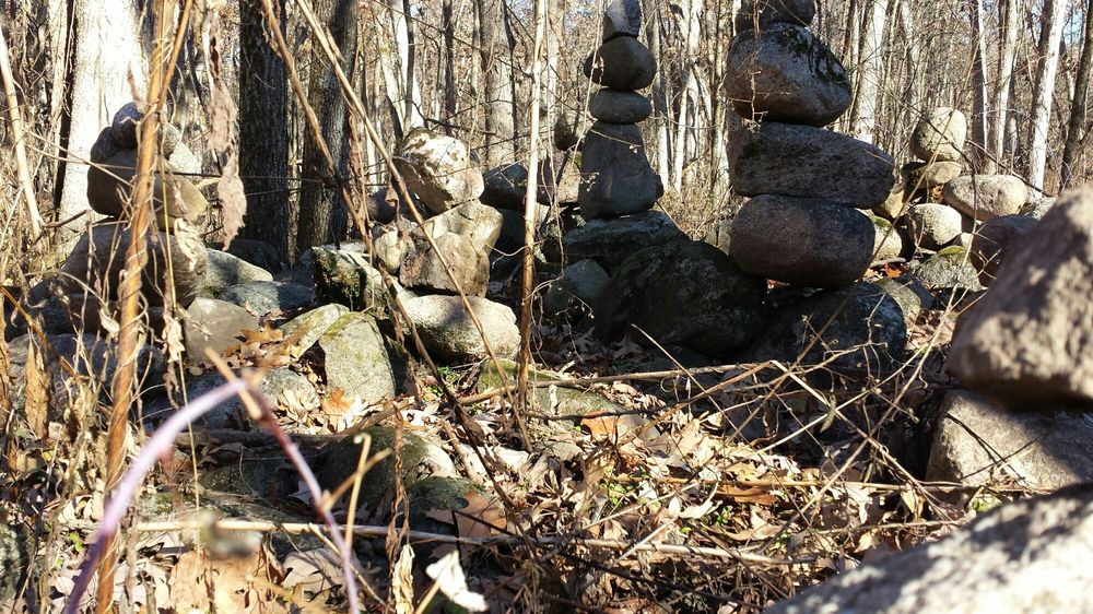 MARENGO RIDGE CONSERVATION AREA - Updated December 2025 - 2411 N IL ...