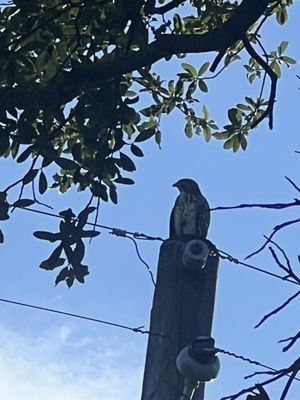 AL COITH PARK - Updated August 2025 - 38 Photos - 901 Delaney Ave ...