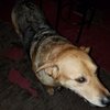 BARFLY - Updated September 2025 - 16 Photos & 42 Reviews - 4062 Street ...