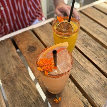 DARLING AVIARY - Updated July 2024 - 712 Photos & 540 Reviews - 712 K ...