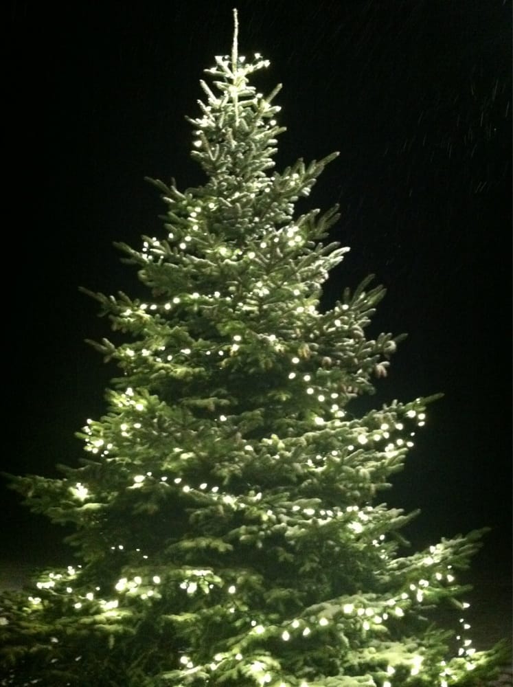 KARLIN INN - Updated December 2025 - 11 Reviews - 7484 Karlin Rd ...