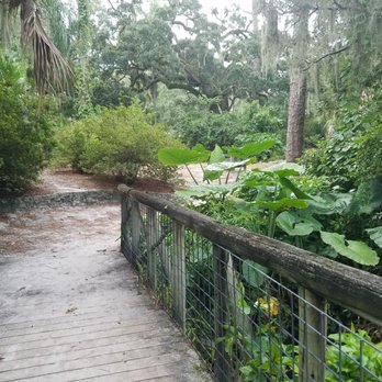 H. H. DICKSON AZALEA PARK - Updated December 2025 - 478 Photos & 48 ...