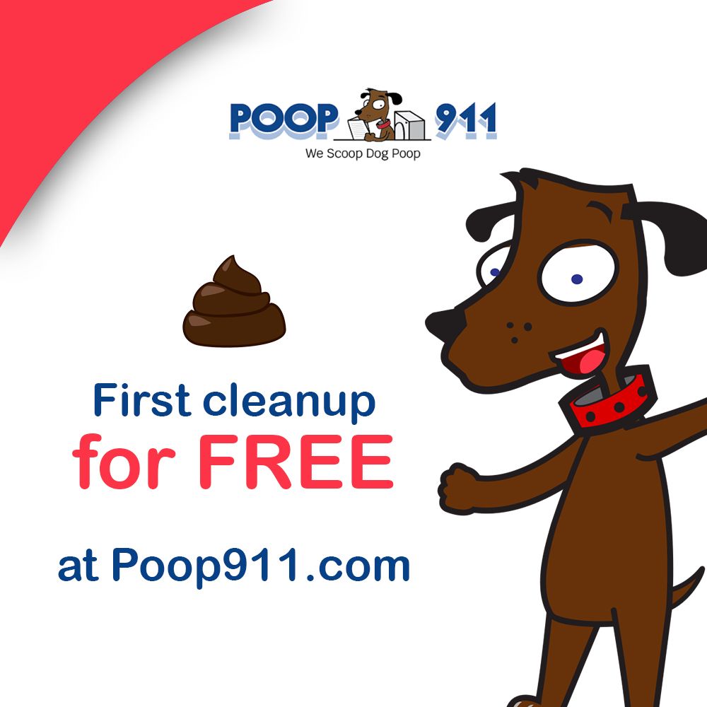 POOP 911 - Updated July 2025 - 12 Photos - Flushing, Michigan - Pet ...