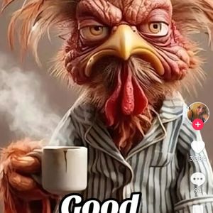 RONA HOME & GARDEN - Updated October 2025 - 12 Photos & 17 Reviews ...