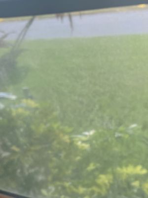 WEATHER TITE WINDOWS - Updated January 2026 - 59 Photos & 125 Reviews ...