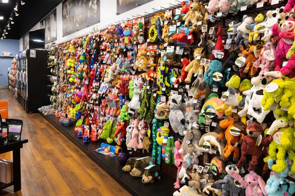 RUMFORD PET - Updated June 2026 - 27 Photos & 50 Reviews - 865 Warren ...