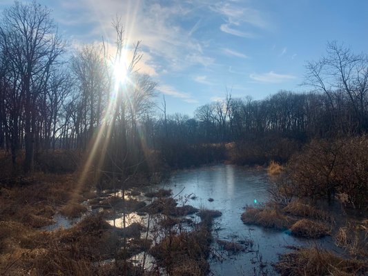 HERRICK LAKE FOREST PRESERVE - Updated October 2025 - 89 Photos & 43 ...