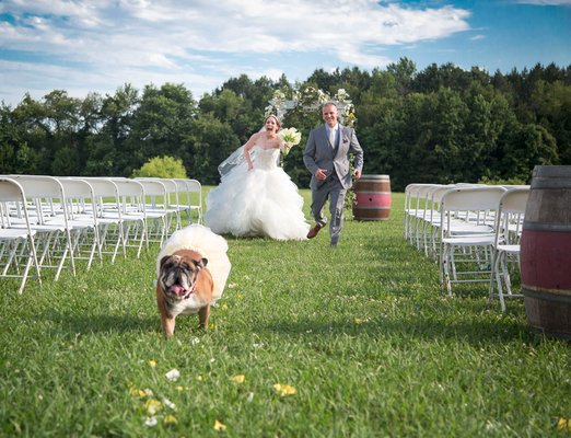 ANGEL CASTELLANOS PHOTOGRAPHY - Los Angeles, CA - Yelp