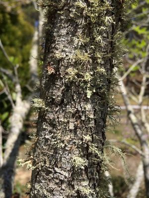 MYTOI JAPANESE GARDENS - Updated November 2025 - 19 Photos - 41 Dike Rd ...