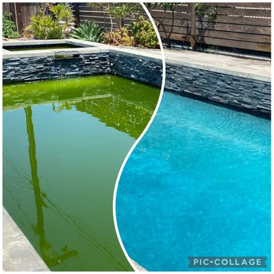 THE POOL NERD - Updated October 2025 - 33 Photos & 104 Reviews ...