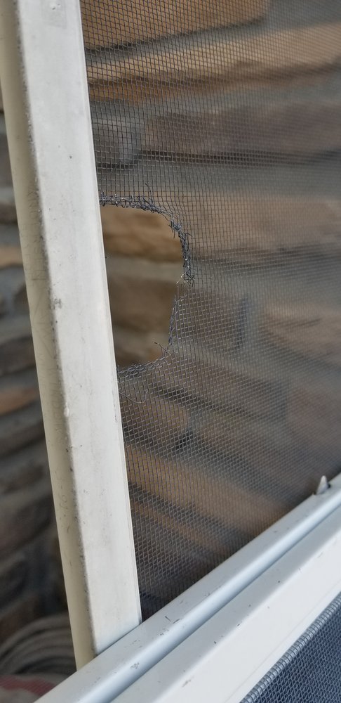 MOBILE WINDOW AND DOOR RESCREENING - Updated July 2025 - 20 Photos ...