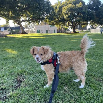 MORLEY FIELD SPORTS COMPLEX - Updated December 2025 - 347 Photos & 29 ...