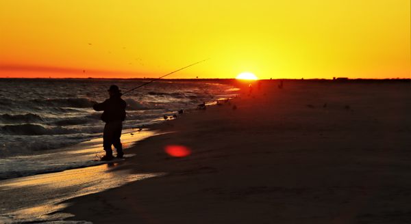 FIELD 6 JONES BEACH - Updated September 2025 - 383 Photos & 38 Reviews ...