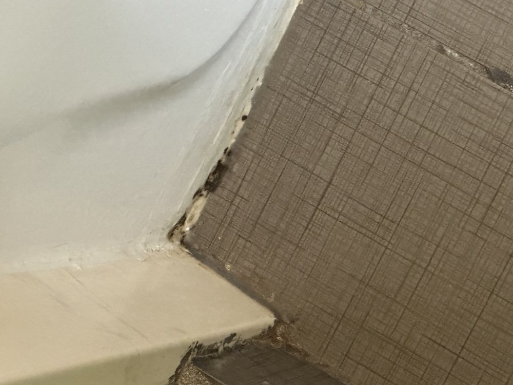 SLEEP INN HARDEEVILLE - Updated December 2025 - 66 Photos & 31 Reviews ...