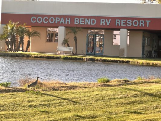 COCOPAH BEND RV & GOLF RESORT - Updated September 2024 - 24 Photos & 13 ...