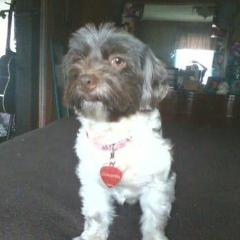 SOEHNLEN VETERINARY CLINIC - Updated January 2026 - 14 Reviews - 6315 ...