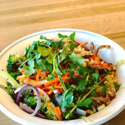 ZAO ASIAN CAFE - Updated February 2025 - 31 Photos & 31 Reviews - 1899 ...