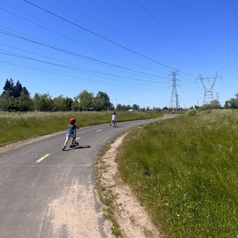 MARTHA RILEY COMMUNITY LIBRARY - Updated December 2025 - 58 Photos & 53 ...