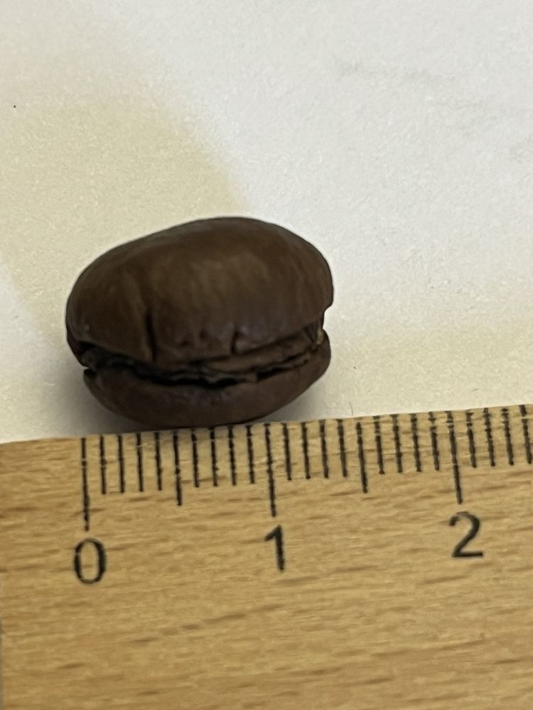 ROYAL PACIFIC COFFEE COMPANY - Updated August 2024 - 41 Photos ...