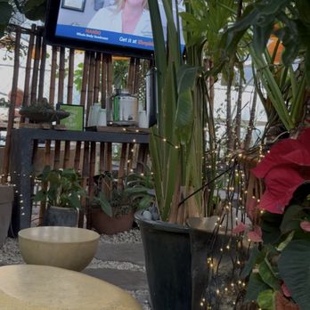 THE GREENHOUSE BAR - Updated June 2025 - 417 Photos & 341 Reviews ...