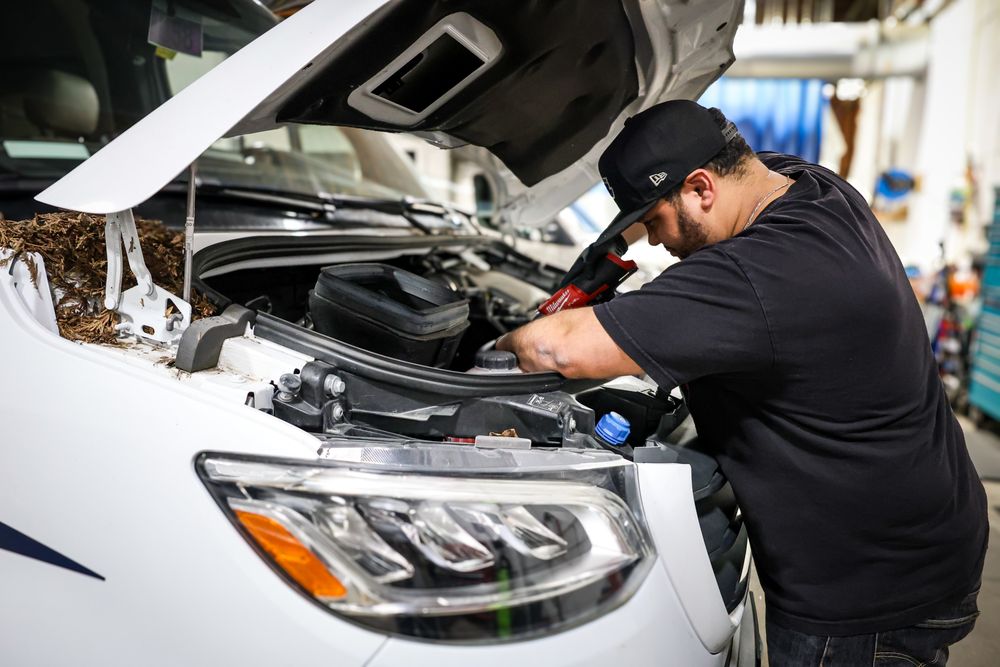 JOHNSON RV SANDY - Updated December 2025 - 117 Photos & 170 Reviews ...