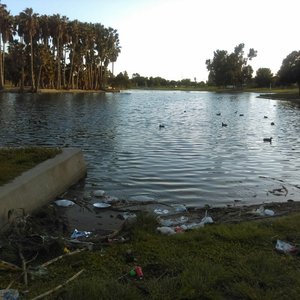 EARVIN MAGIC JOHNSON PARK - 60 Photos & 22 Reviews - Recreation Centers ...