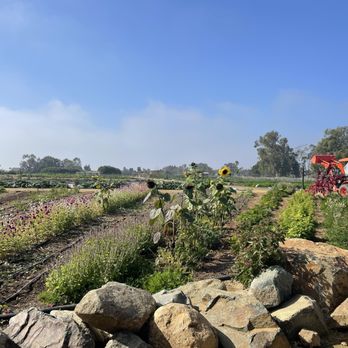 FOX POINT FARMS - Updated December 2025 - 467 Photos & 172 Reviews ...