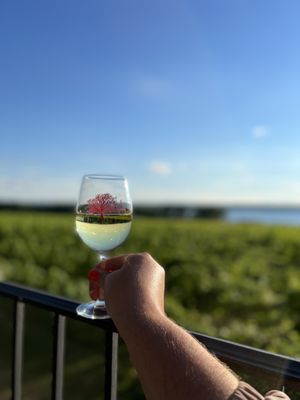 VENTOSA VINEYARDS - Updated August 2024 - 313 Photos & 252 Reviews ...