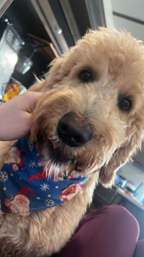 KEEFE PRIVATE INVESTIGATIONS & PROCESS SERVING - Updated December 2024 ...