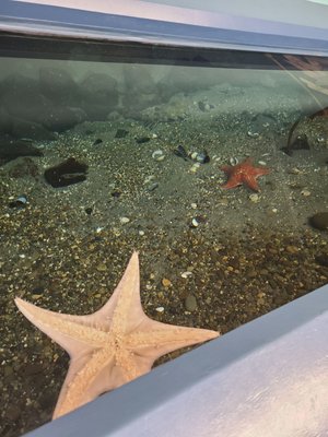 SEA DISCOVERY CENTER - Updated October 2025 - 59 Photos & 29 Reviews ...