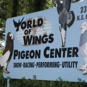 THE AMERICAN PIGEON MUSEUM AND LIBRARY - Updated March 2026 - 99 Photos ...