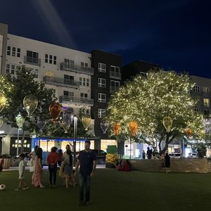 THE DOMAIN - Updated December 2024 - 420 Photos & 381 Reviews - 11410 ...